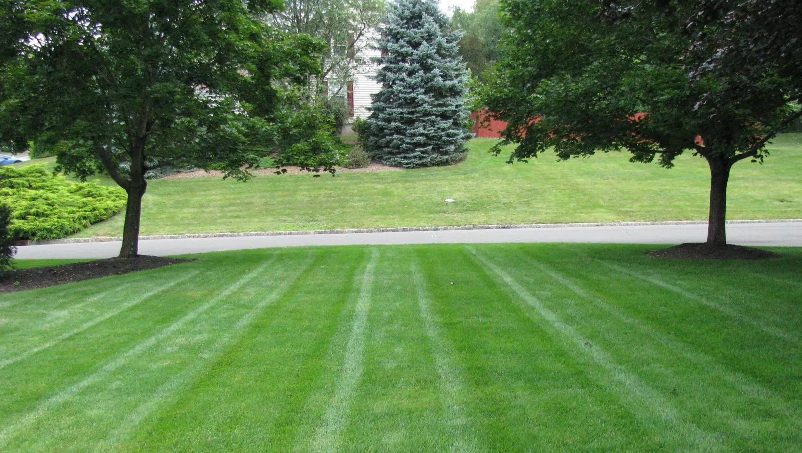 The Best Lawn Care Program in Bucks County | Shades of Green