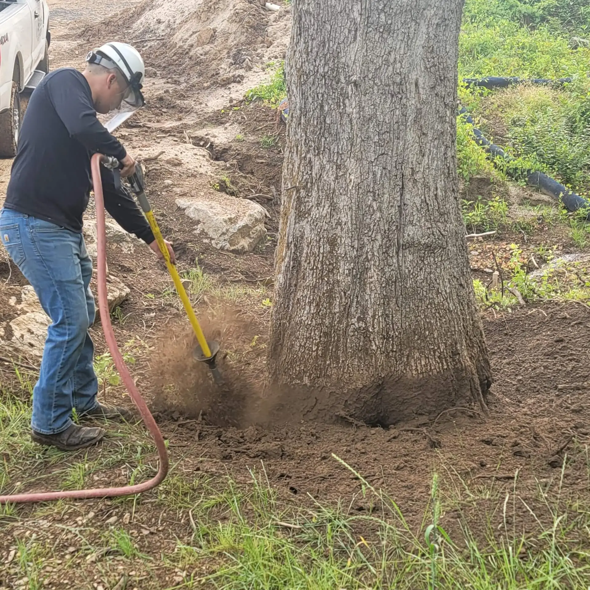 Airspade Services & Tree Root Care | Shades of Green